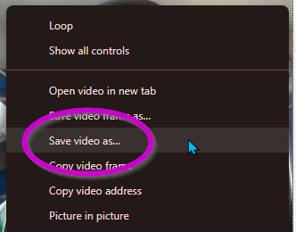 Viewing, Sharing, and Downloading a Simulation Recording